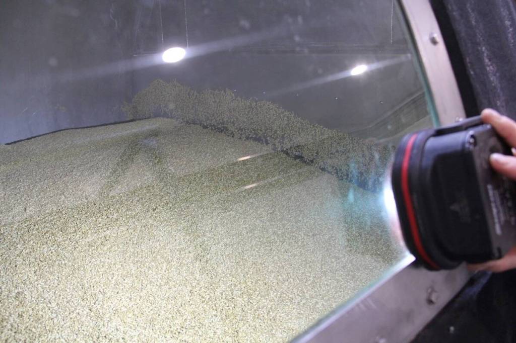 Beer Farmers: Peninsula operation brews up mega malting machine in ...